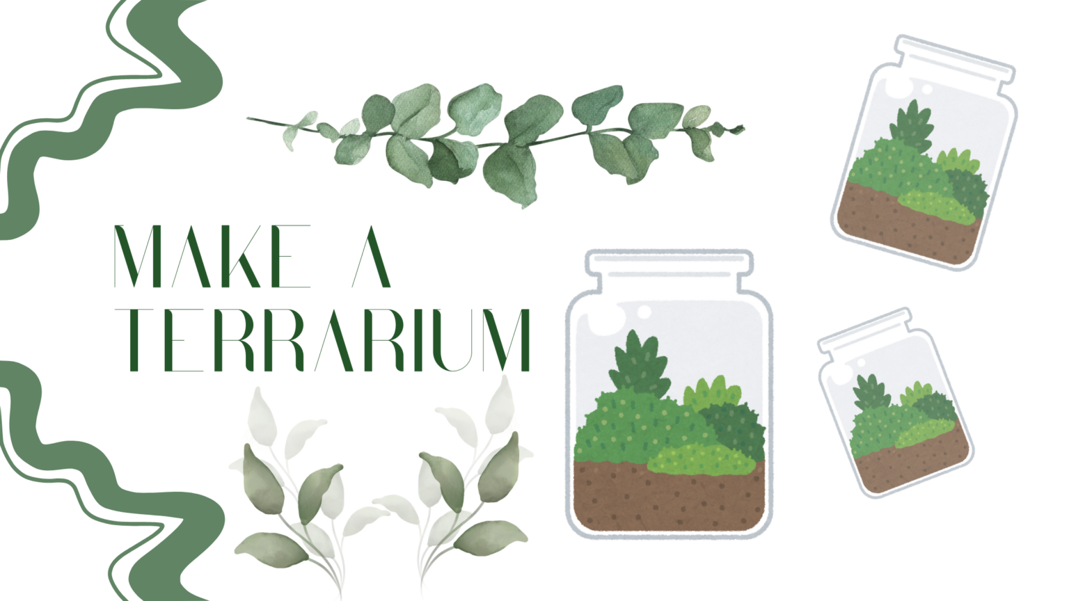 Make Your Own Terrarium Ecosystem | World Wetlands Day